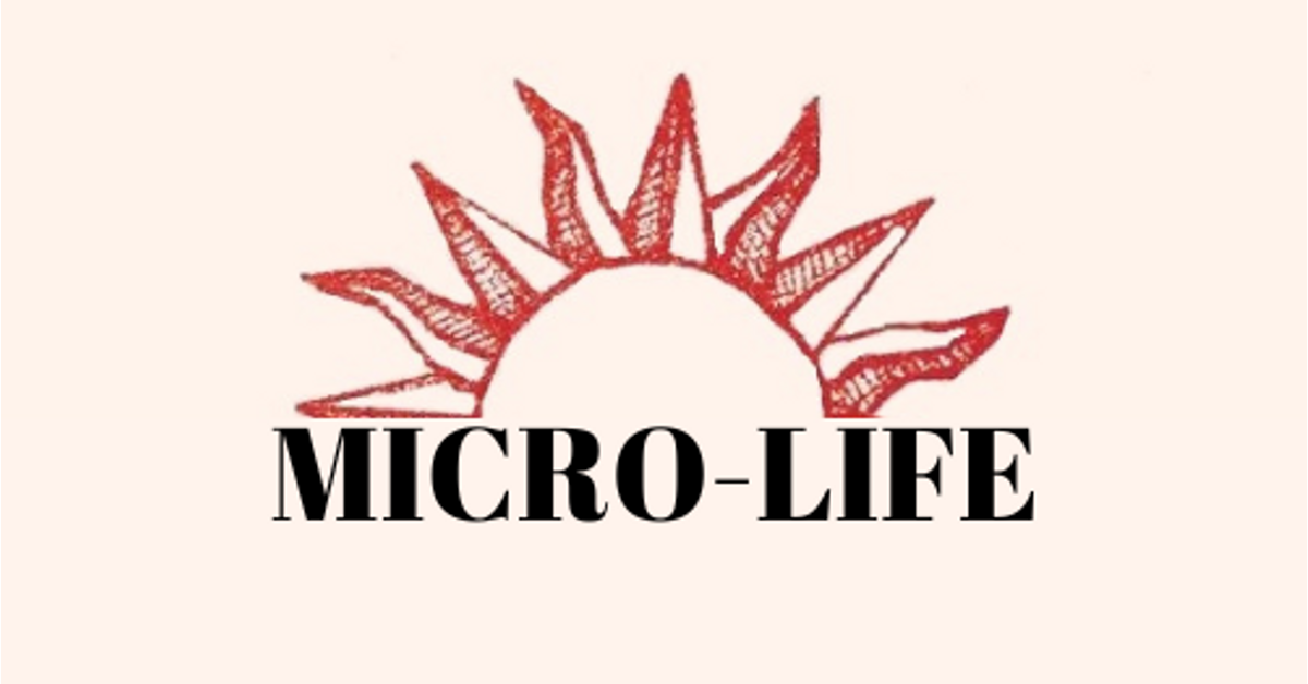 micro dosing capsules – MICRO-LIFE